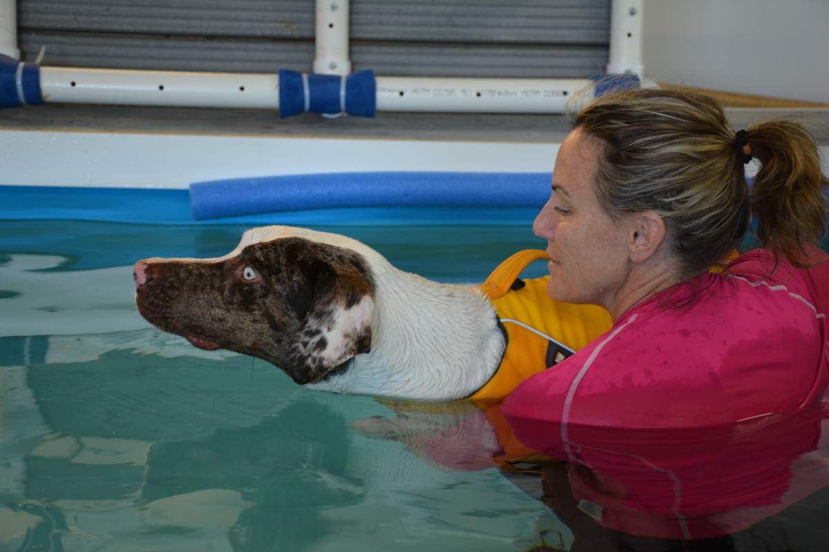 Checking Back with Water Bark Wellness - Water Bark Wellness